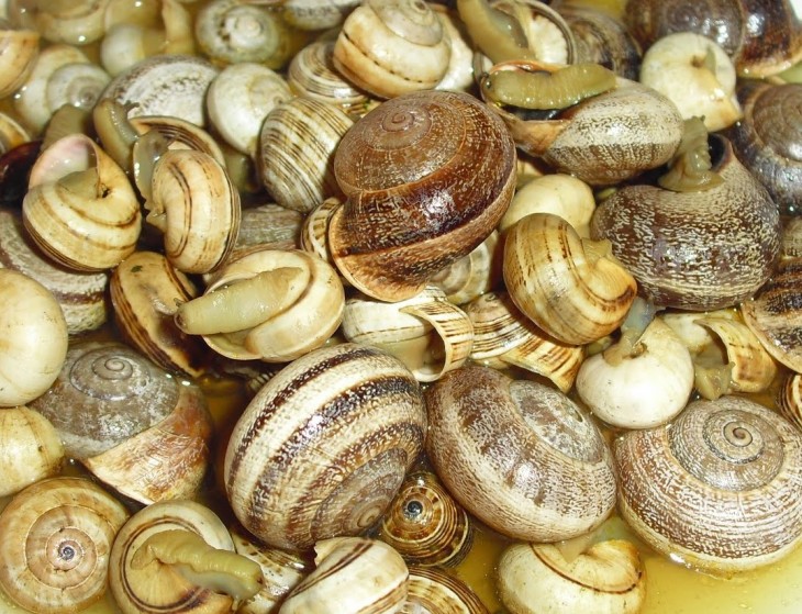 Onde comer caracóis | Viaje Comigo