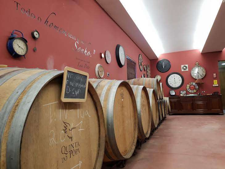 Piquenique no Douro, na Quinta do Pôpa | Viaje Comigo