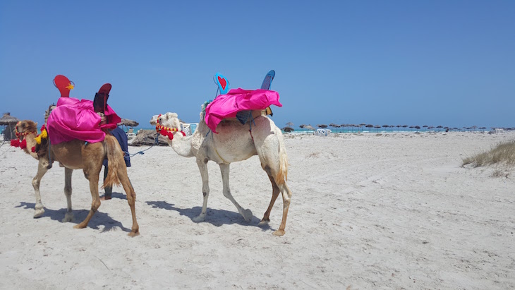 Ras R mal Ilha Dos Flamingos Djerba Tun sia Viaje Comigo