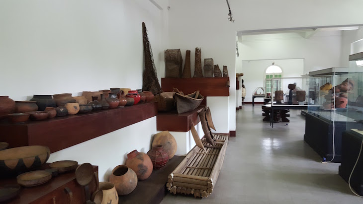 Museu de História Natural de Maputo | Viaje Comigo