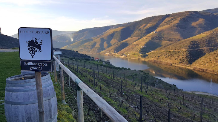 Quinta do Pôpa, Tabuaço, Douro | Viaje Comigo