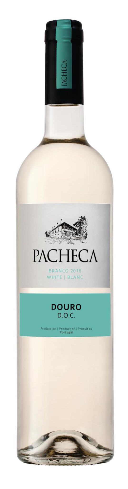 Quinta da Pacheca com nova imagem e novas colheitas | Viaje Comigo