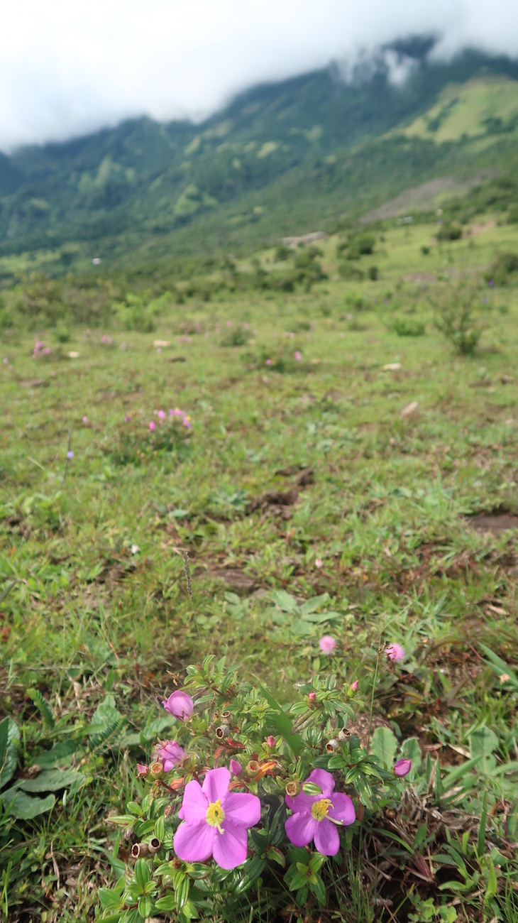 Pitawala Pathana: o mini fim do mundo no Sri Lanka | Viaje ComigoViaje ...
