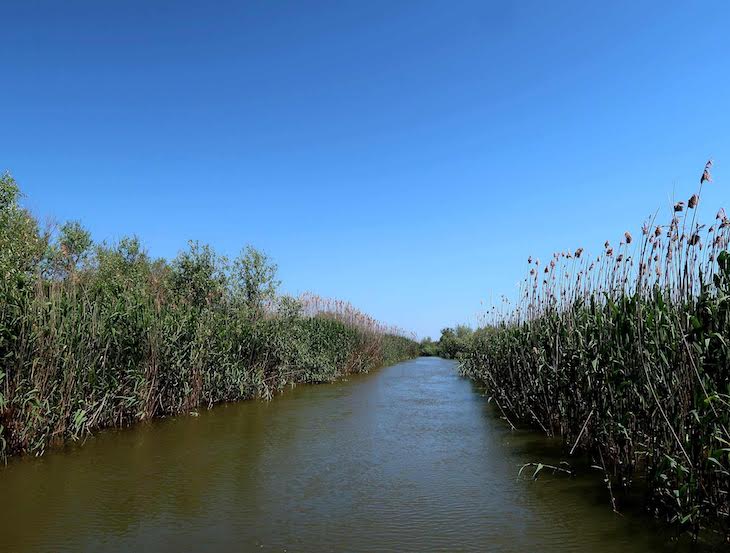 Descobrir o delta do Danúbio, Roménia | Viaje Comigo