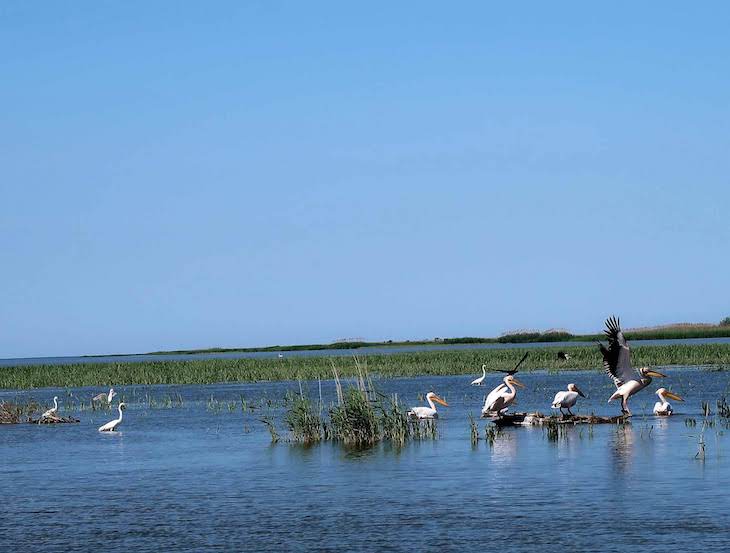 Descobrir o delta do Danúbio, Roménia | Viaje Comigo
