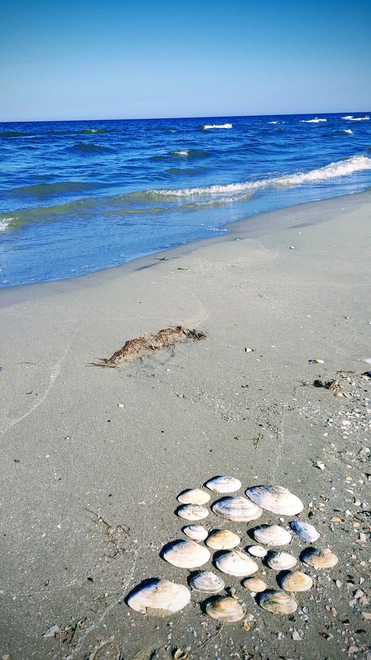 Descobrir o delta do Danúbio, Roménia | Viaje Comigo