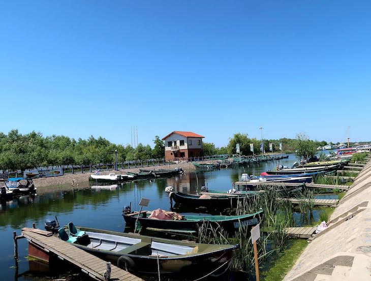 Descobrir o delta do Danúbio, Roménia | Viaje Comigo
