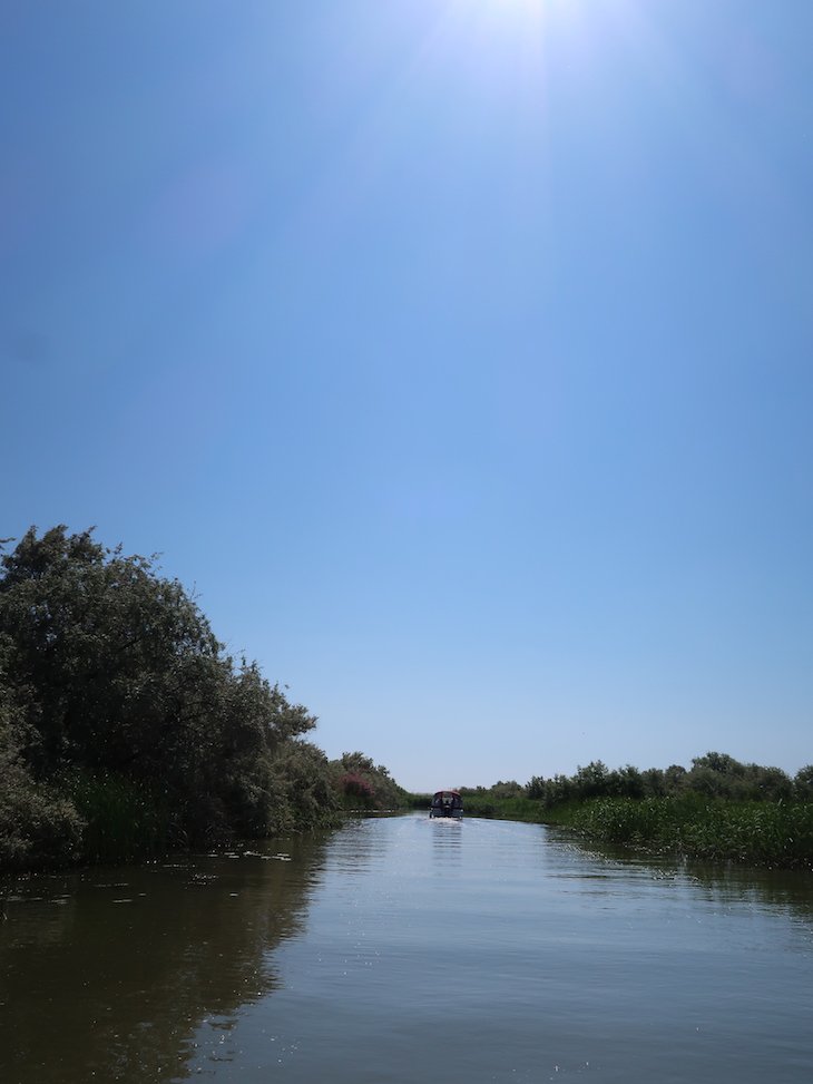Descobrir o delta do Danúbio, Roménia | Viaje Comigo