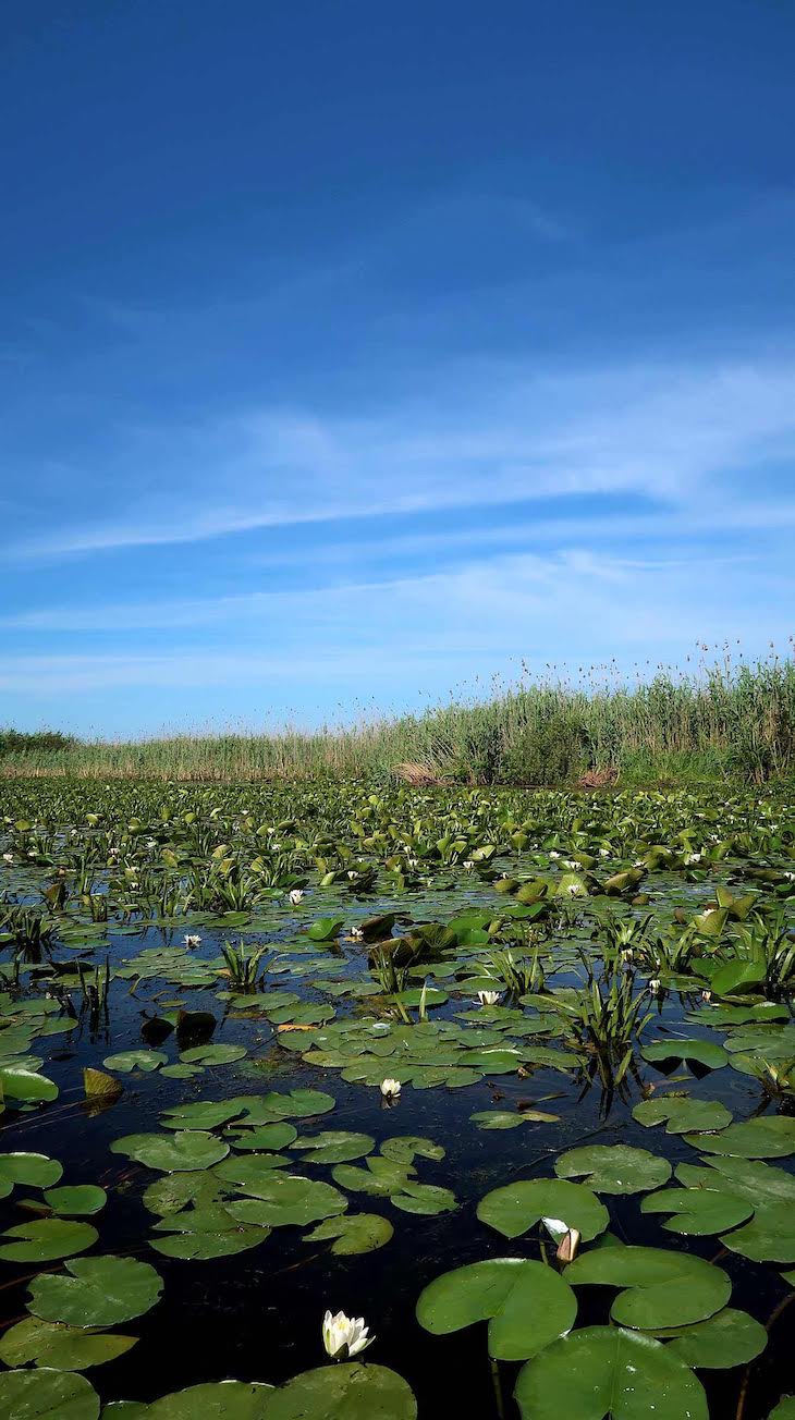 Descobrir o delta do Danúbio, Roménia | Viaje Comigo