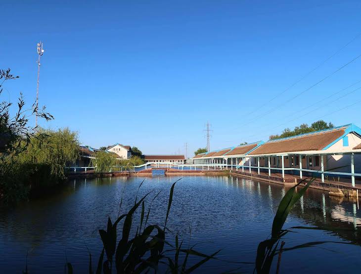 Descobrir o delta do Danúbio, Roménia | Viaje Comigo