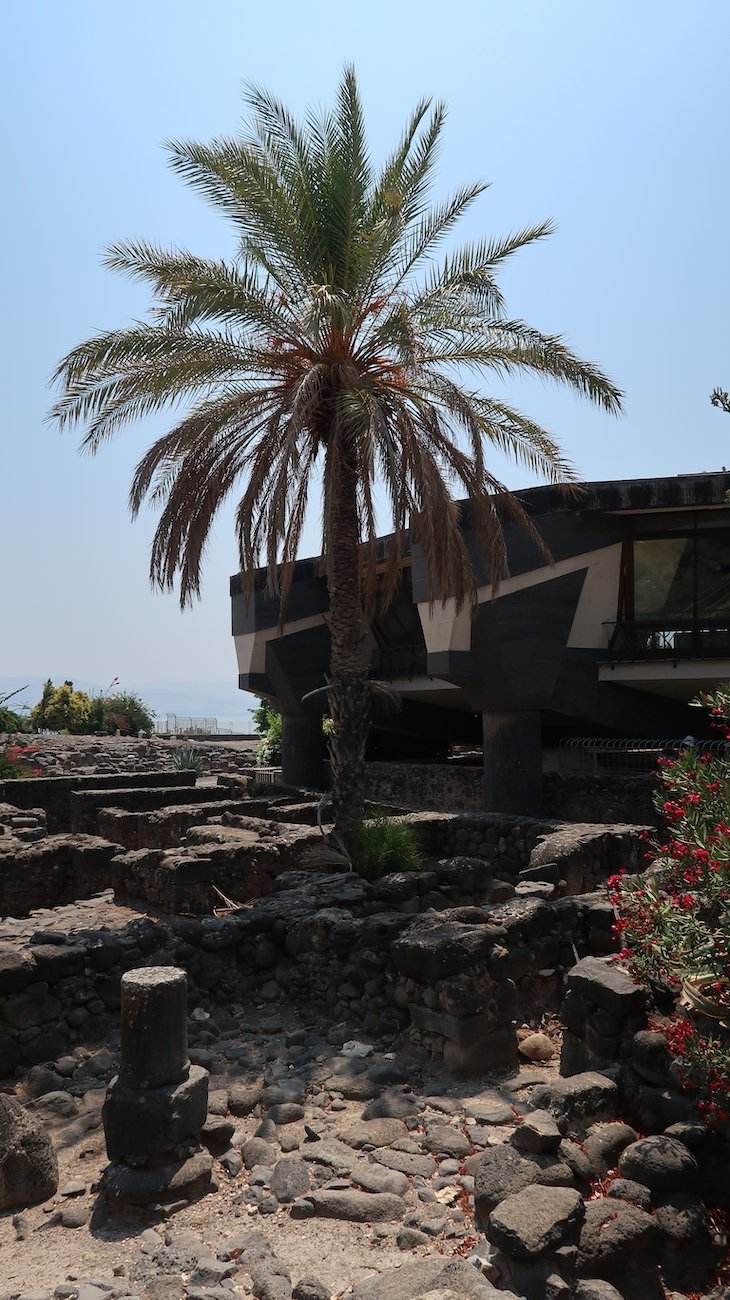 Cafarnaum, a Cidade de Jesus, Israel | Viaje Comigo