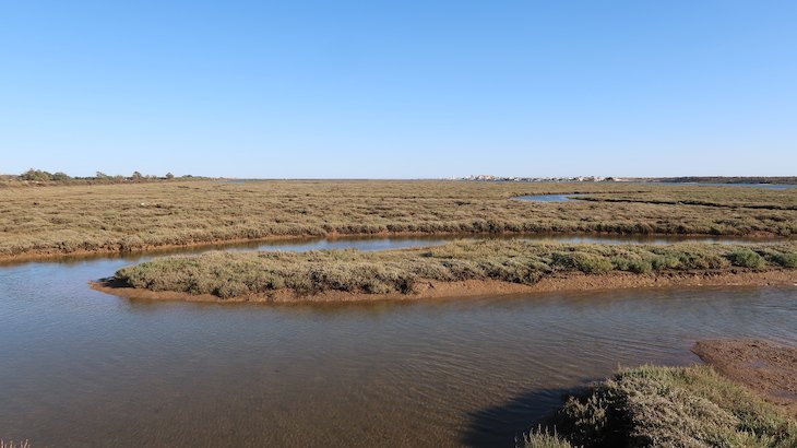 Descobrir a Ria Formosa, Algarve | Viaje Comigo
