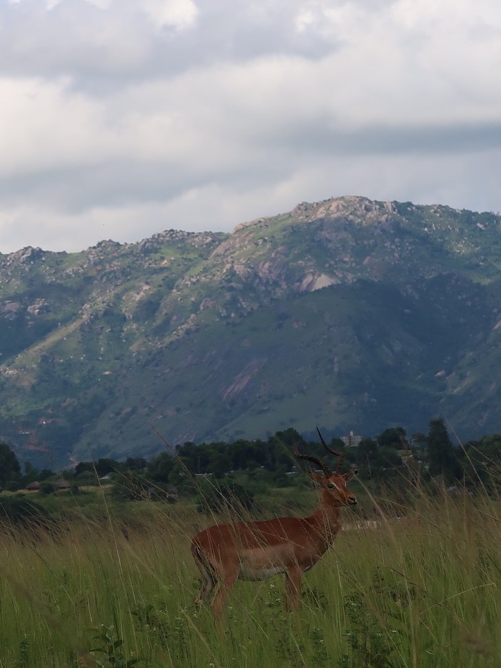 Viajar par a Suazilândia (Eswatini) | Viaje Comigo