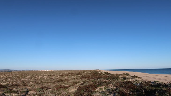 Ilha da Culatra, Faro, Algarve | Viaje Comigo