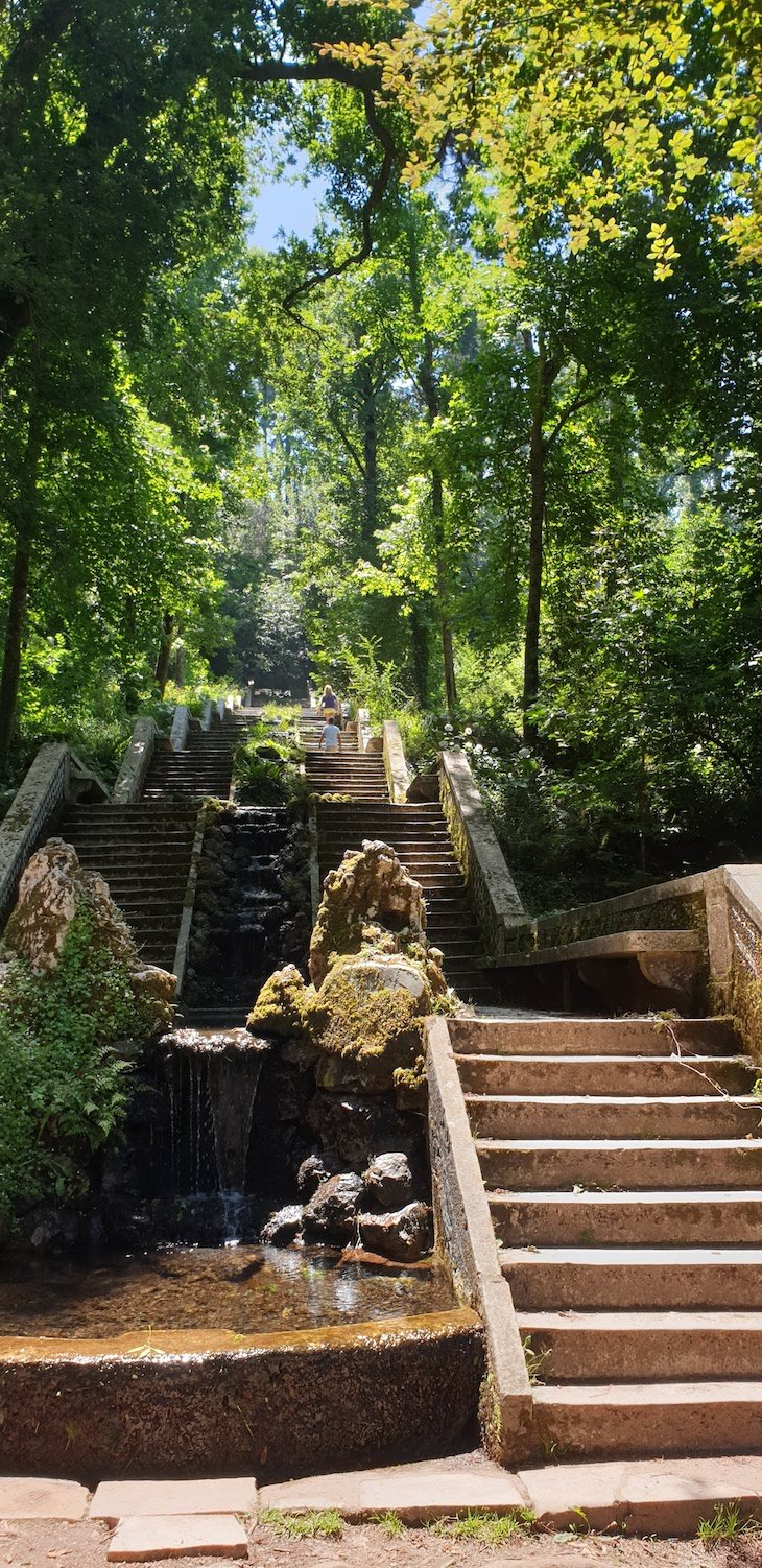 Conheça a mística Mata do Buçaco (Bussaco) | Viaje Comigo