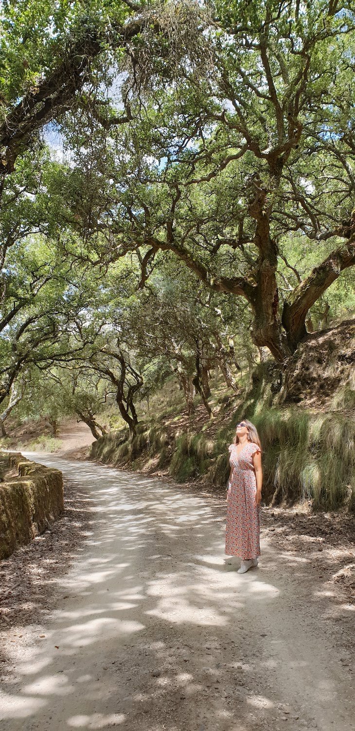 Visita pela Tapada Nacional de Mafra | Viaje Comigo