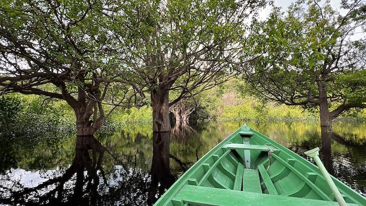 Manati Lodge: um hotel de selva, na Amazónia | Viaje ComigoViaje Comigo