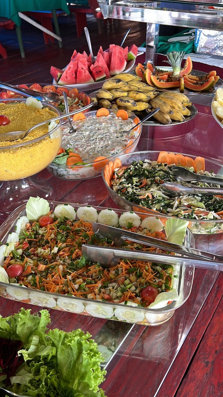 Um dia pela Amazónia: golfinhos e indígenas | Viaje Comigo