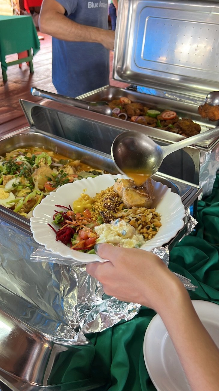 Um dia pela Amazónia: golfinhos e indígenas | Viaje Comigo