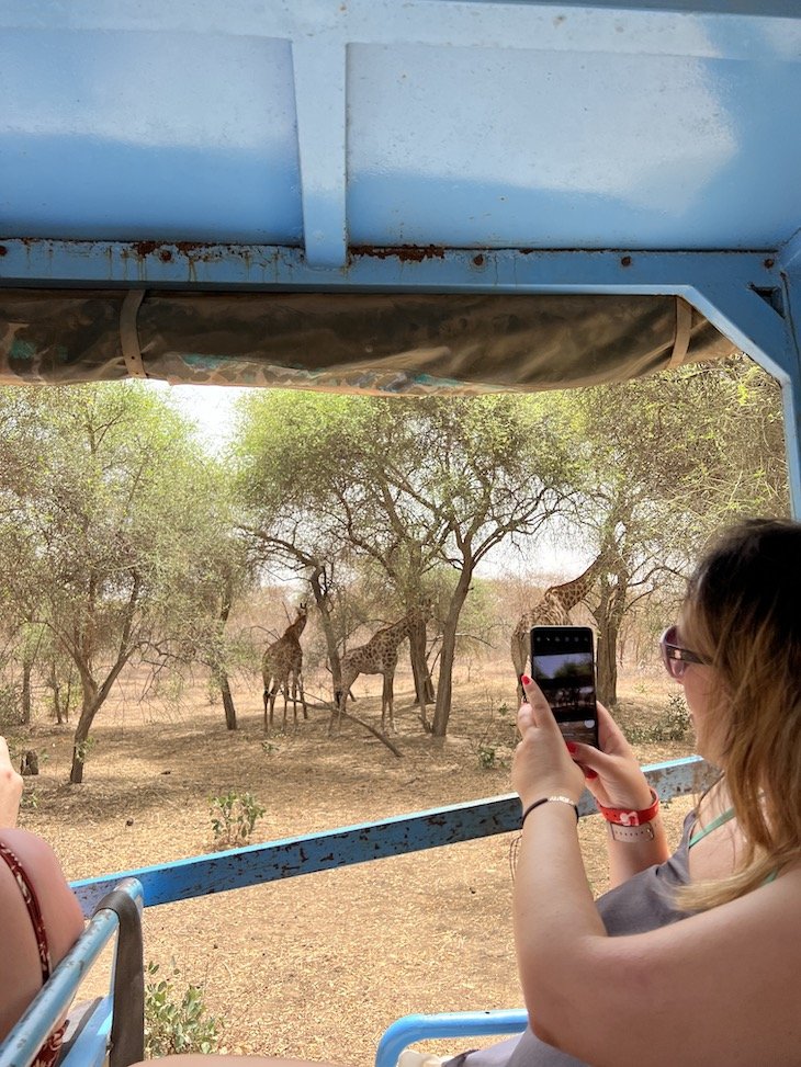 Safari no Bandia Wildlife Reserve, Senegal | Viaje Comigo