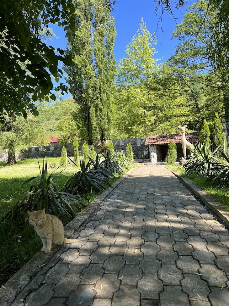 Chateau Chikovani, Gordi, Georgia | Viaje ComigoViaje Comigo