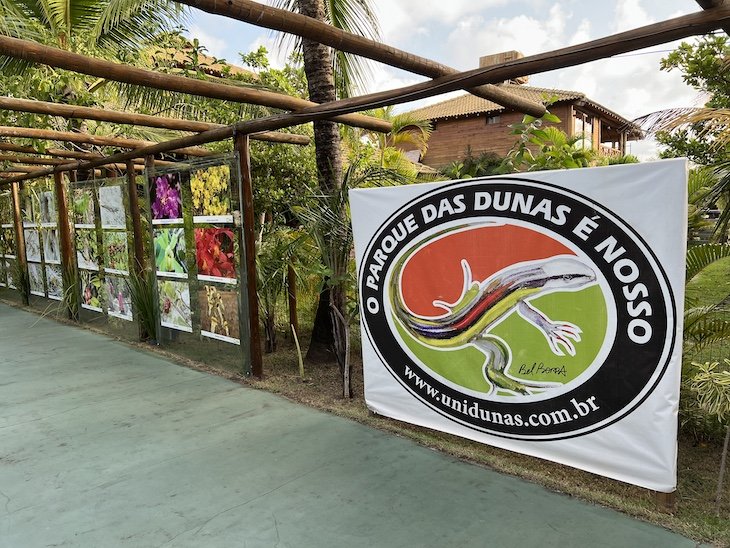 Parque das Dunas, Salvador, Bahia, Brasil | Viaje Comigo