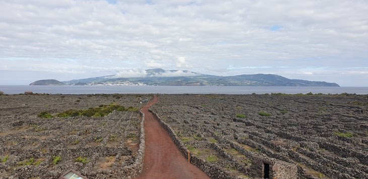 Visitar a ilha do Pico, Açores | Viaje Comigo
