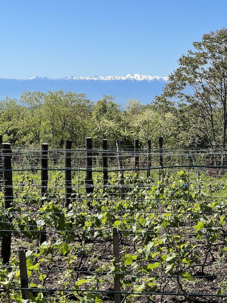 Chateau Chikovani, Gordi, Georgia | Viaje ComigoViaje Comigo
