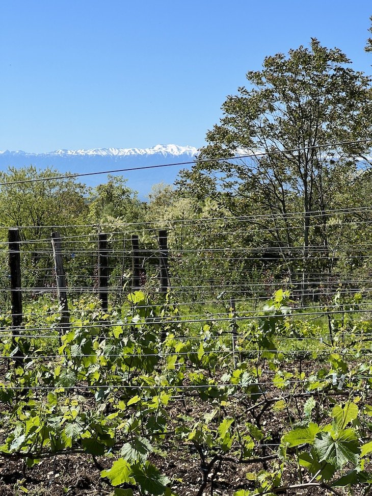 Chateau Chikovani, Gordi, Georgia | Viaje ComigoViaje Comigo