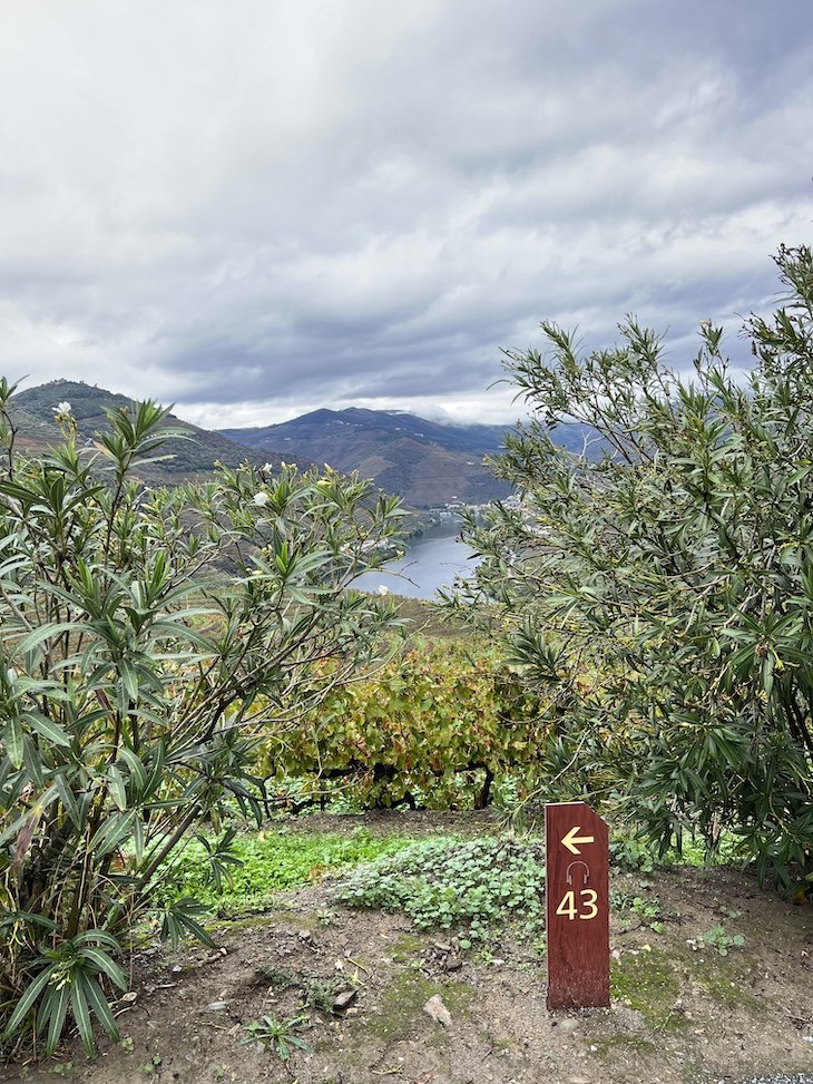 O Douro numa Quinta: Ventozelo, Douro | Viaje ComigoViaje Comigo
