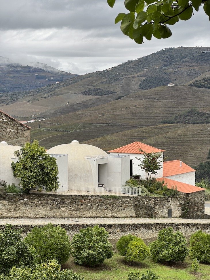 O Douro numa Quinta: Ventozelo, Douro | Viaje Comigo