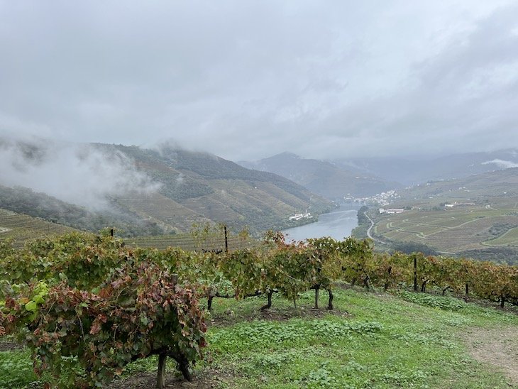 O Douro numa Quinta: Ventozelo, Douro | Viaje Comigo