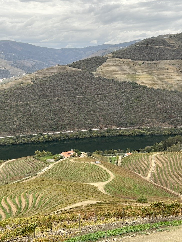 O Douro numa Quinta: Ventozelo, Douro | Viaje ComigoViaje Comigo