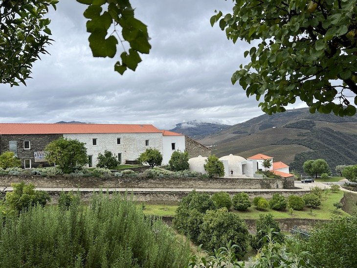O Douro numa Quinta: Ventozelo, Douro | Viaje Comigo