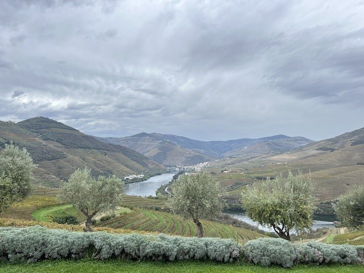 O Douro numa Quinta: Ventozelo, Douro | Viaje Comigo