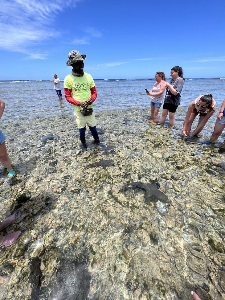 Viajar para a Ilha do Sal, Cabo Verde | Viaje Comigo