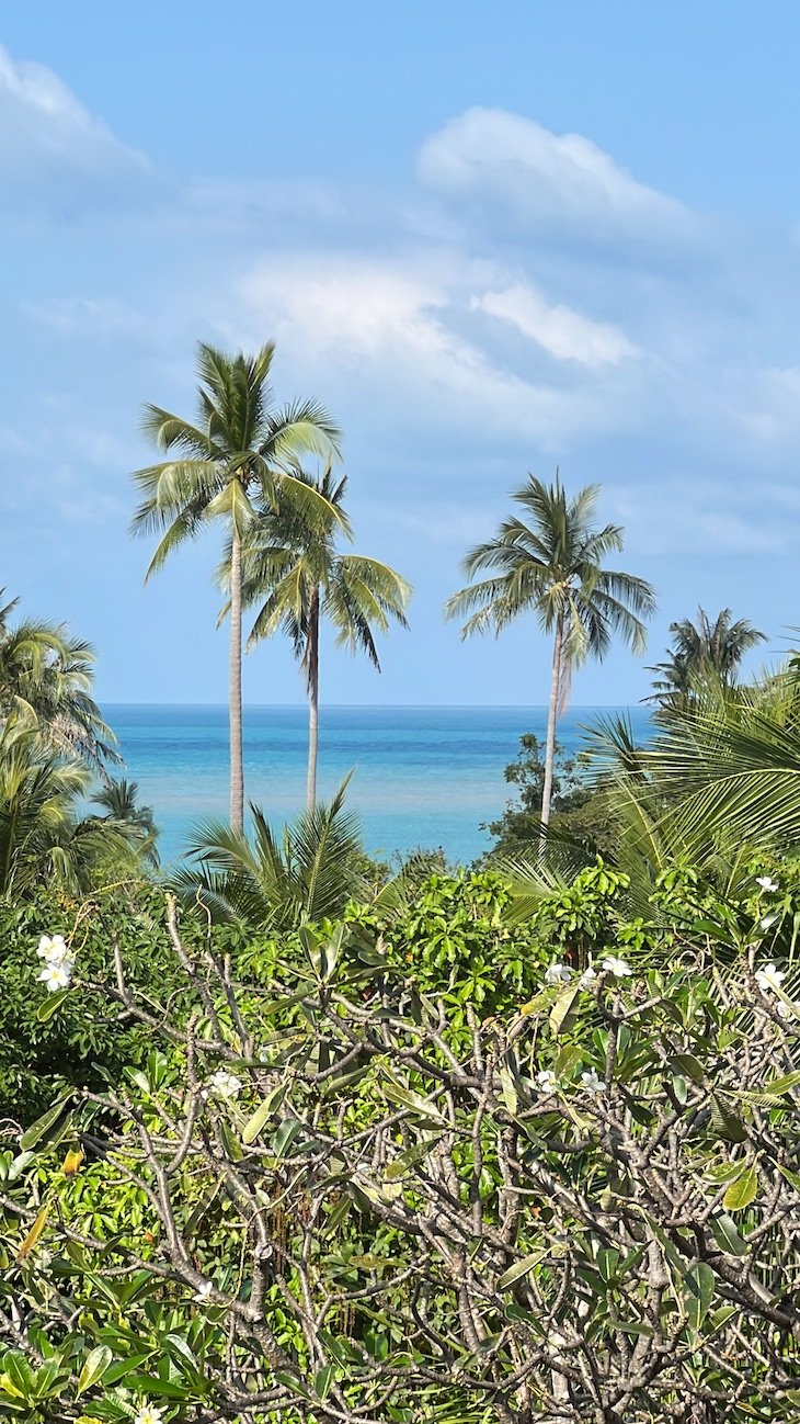 A tropical ilha (Koh) Samui, na Tailândia | Viaje Comigo
