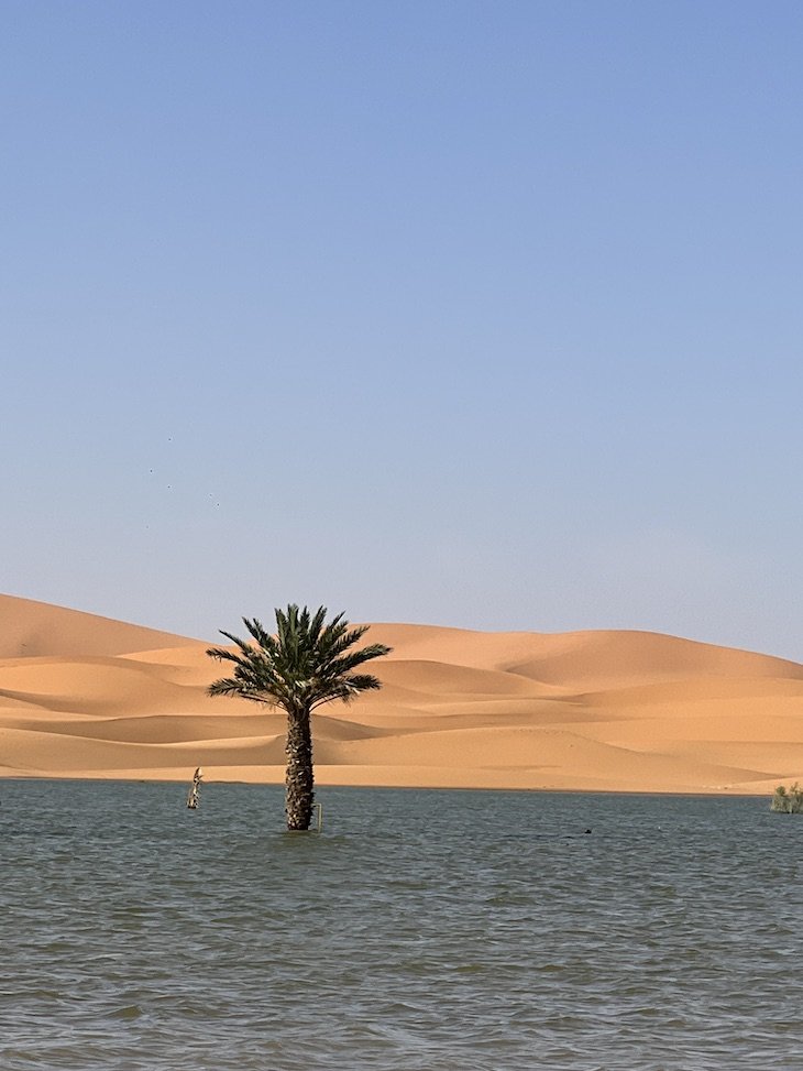 30 fotografias incríveis do deserto do Saara, Marrocos | Viaje Comigo